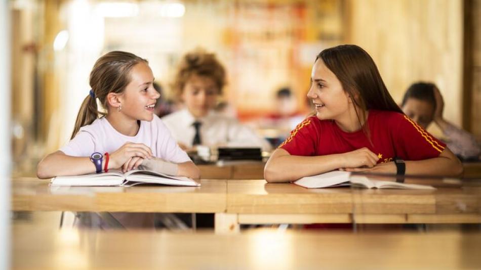 Primary Plus Courses | British Council